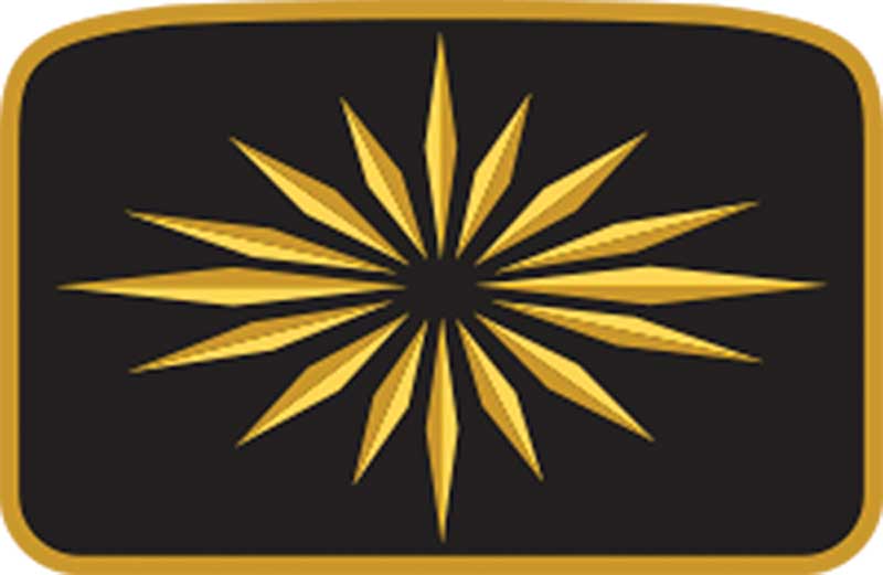 OER 1967, Starburst Seat Belt Buckle Emblem Set, Deluxe Interior, Pair ...